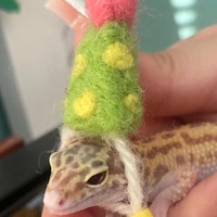 Leopard Gecko and Other Lizard Hats - Etsy Canada