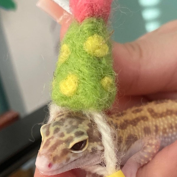 Leopard Gecko (and Other Lizard) Hats - Etsy