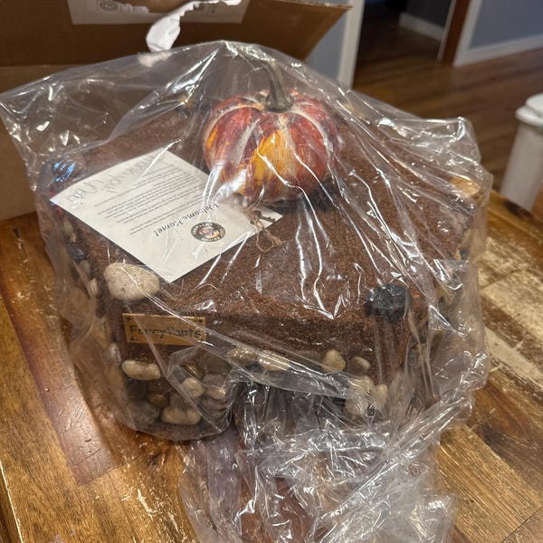 Reptile Hide Gothic Skull Lizard Enclosure Enrichment Terrarium ...