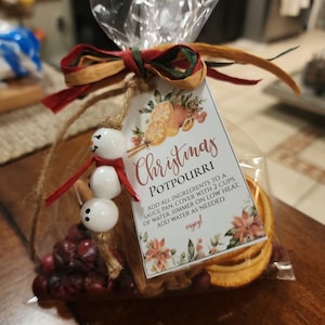 Red Ribbon Spirit Week Template, Spirit Week Schedule, School Spirit ...