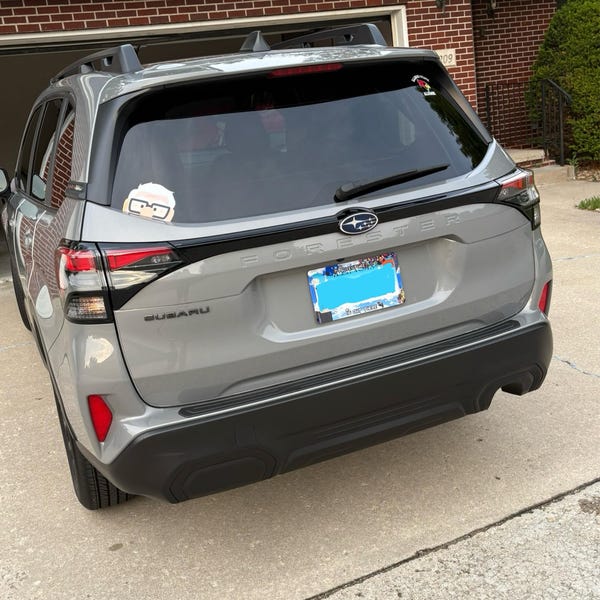 Hei Hei Peeker Sticker – Funny Chicken Peeking Car Window Decal ...