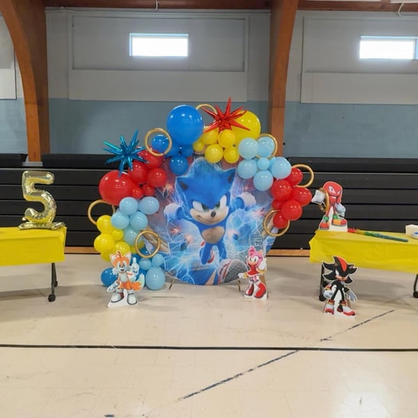 Sonic Props, Sonic Backdrop, Party Props, Shadow Cutout, Knuckles ...