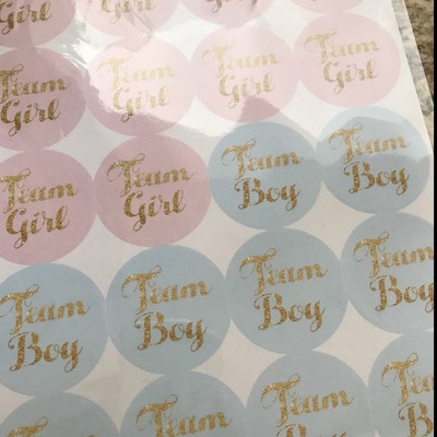 Gender Reveal Party Stickers, Team Pink Team Blue Stickers, Pink and ...