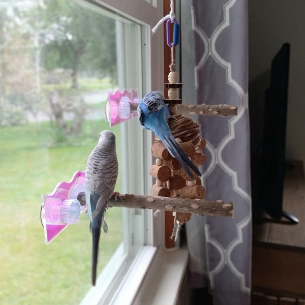 Spaghetti Swing for Small Birds | Small Parrot Swing | Budgies ...