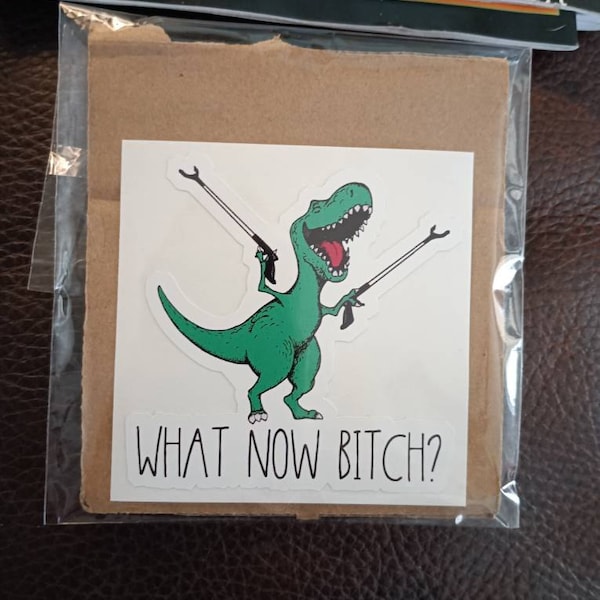 Funny Dinosaur What Now Bitch - Arm Extenders, Sarcastic Sticker ...