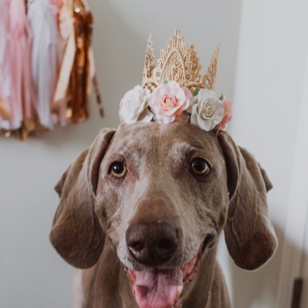 Princess Pet Birthday Crown Gold Lace Crown for Dogs and Cats Adeline ...