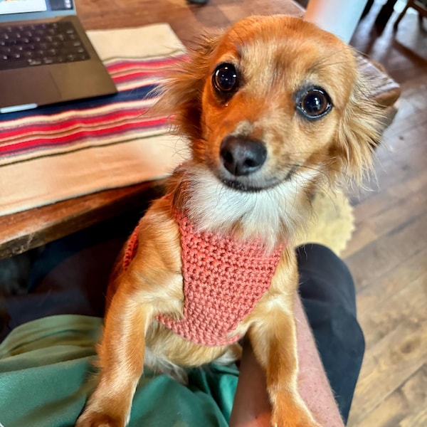 Crochet Dog Harness, 100% Cotton, Handmade Crochet Dog Harness, Crochet ...