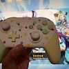 Custom Animal Crossing Themed Nintendo Switch Pro Controller - Etsy