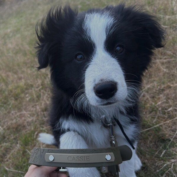 Khaki Waterproof Dog Collar Personalised Biothane Custom Print Floral ...