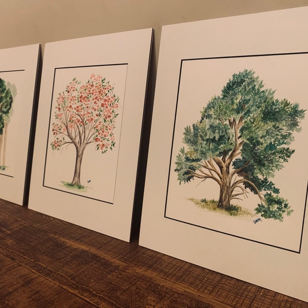 Watercolor State Tree of Virginia, State Tree of Missouri, Flowering ...