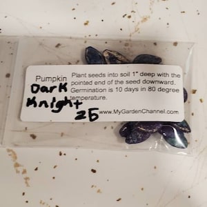 RED Baby Sun Rose Houseplants Live Plant in Pot Red Star Succulent ...