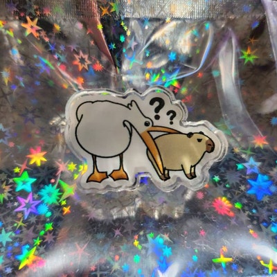 LTD TIME ONLY Confused Pelican Capybara Mini Acrylic Pin, Cute Kawaii ...