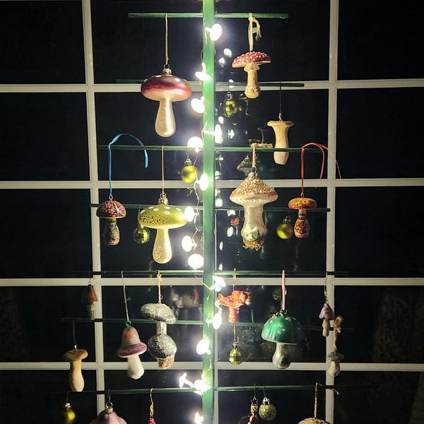 LED Mushroom Fairy String Lights | Night Lights | Nature Decor ...