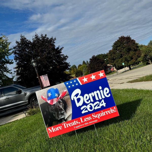 Presidential Funny Humorous Yard Sign - Etsy
