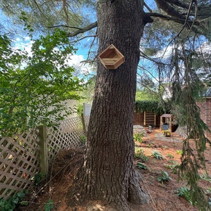 Cedar Birdhouse Small Birdhouse Birdhouse Outdoor Bird House Bird ...