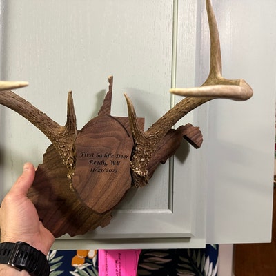 Turkey Tail/wing Mount. - Etsy