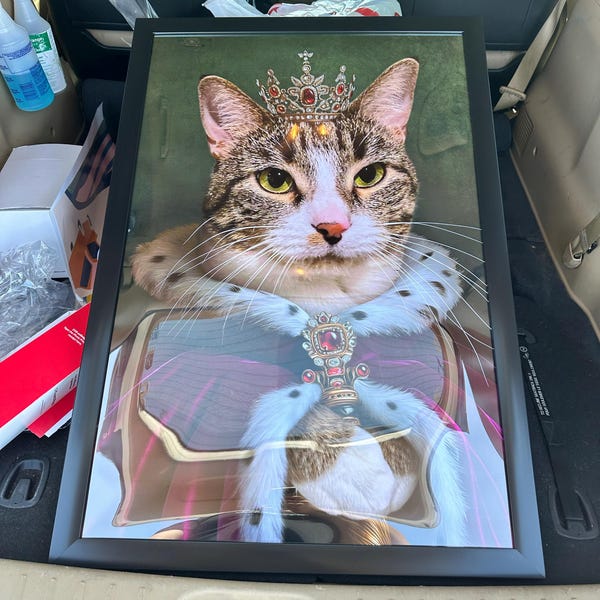 Custom Witch Pet Portrait From Photo Perfect Gothic Gift Dark Pet Gift ...