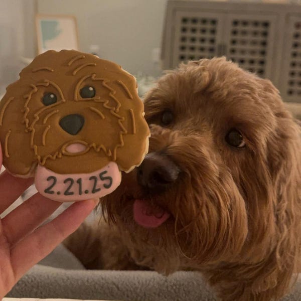 Custom Dog Sugar Cookies - Etsy