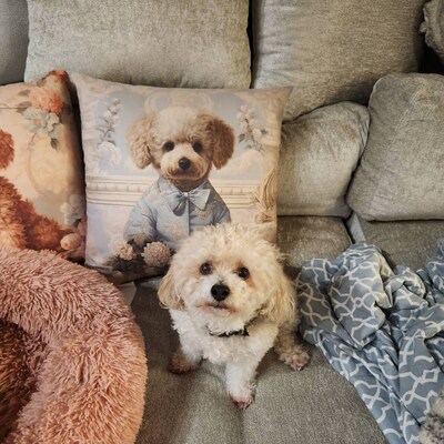 Whimsy Puff Hedgehog Pillow, Cottagecore Charm, Sage Floral Hedgehog ...