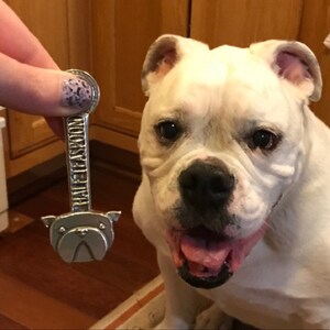 Good Dog Measuring Spoons With Stand - Etsy