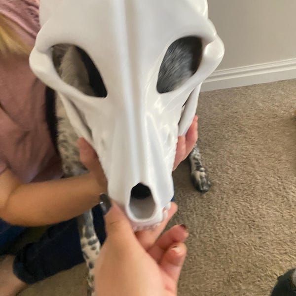 Toony Cat Feline Bone Skull Mask Movable Moving Hinge Jaw 3D Printed ...