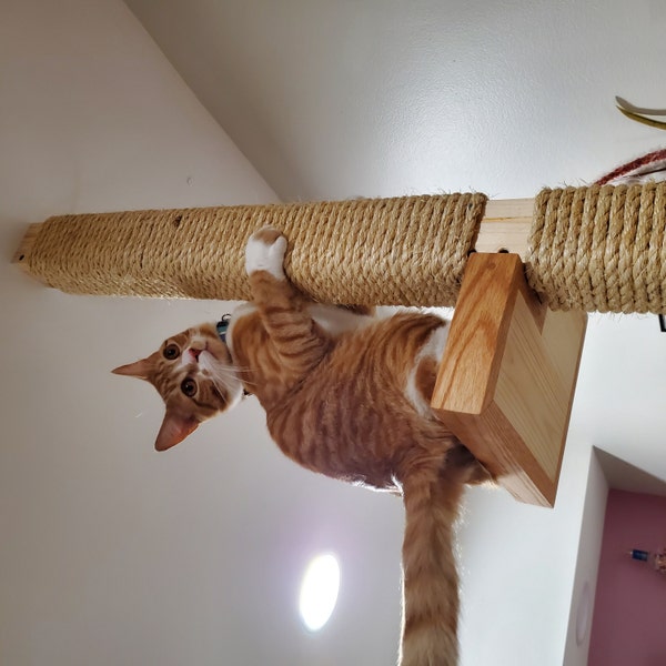 Cat Pole! Cats Can Climb From Floor to Ceiling for Play and Exercise ...