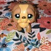 LPS Littlest Pet Shop Jumbo Deco Boxer Dog Hasbro Authentic - Etsy