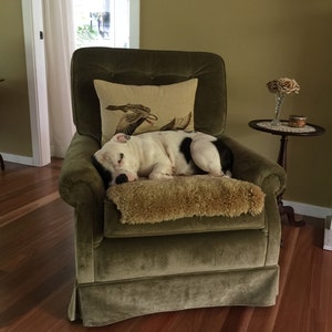 Sally Stanley Smocking Pleater Machine With Needles 24 Row Pleating ...