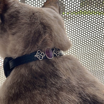 Crystal Cat Collar, Victorian Collar, Amethyst Cat Collar, Witches Cat ...