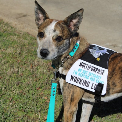 1 Extra Long 10 Inch Long Sleeve, Customizable, You Choose the Text and ...