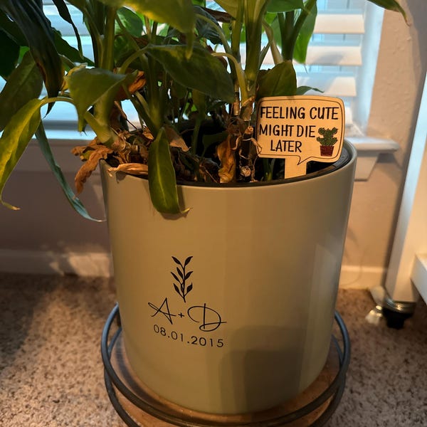 Bunny Rabbit Pot Hugger for Flower Pot Gardening Gifts Unique Outdoor ...