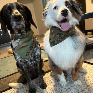 AKC Scent Work NOVICE Title Progression Tracking Sheet Digital Download ...