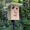 Cedar Songbird Roosting Box - With Cleanout - Etsy