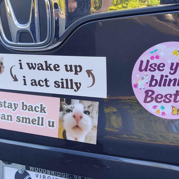 New Driver Pls Be Nice Sad Hamster Car Bumper Sticker Crying Funny Cute ...