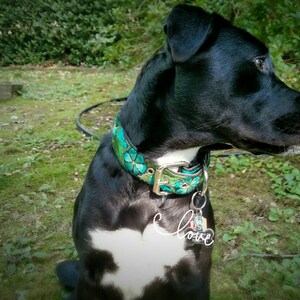 Leather camera strap Colorful camera strap Gift | Etsy