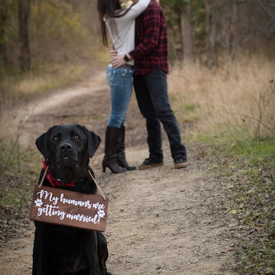 Our Parents Are Getting Married Sign-save the Date-save the Date Dog ...