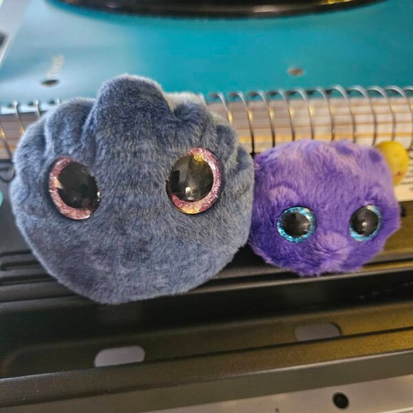 Worry Buddy, Sensory Comfort Toy, Autism Toy for Kids, Fuzzy Sensory ...