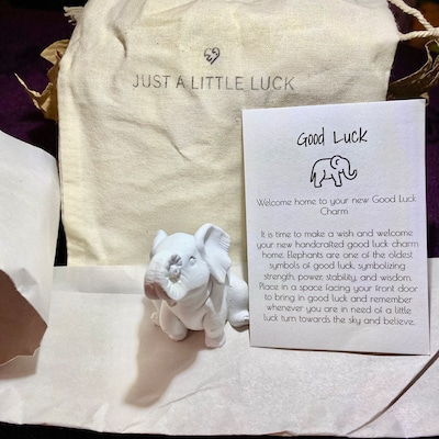 Ceramic Lucky Cat Set Lucky Cats for Luck, Happiness, Wealth and ...