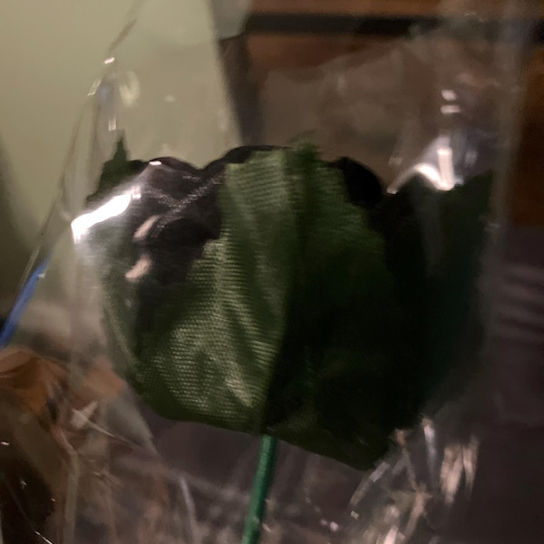 Black Rose, Single Rose Individually Wrapped Rose, Party Favor ...
