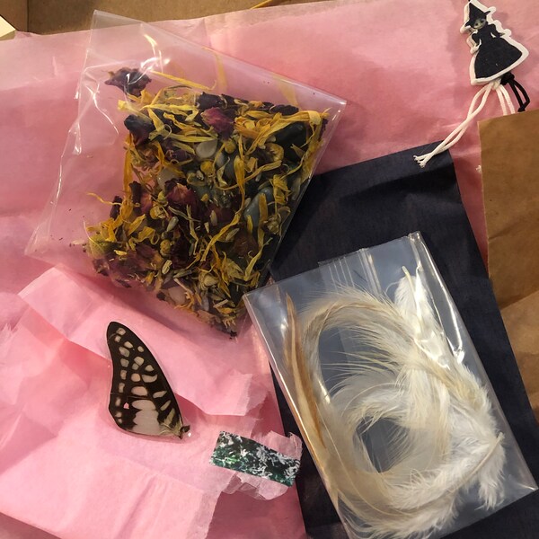 Crow - CORVUS - Kraai , LUXURY Mini Dome - Heketa - Etsy