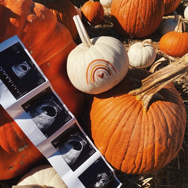 Mason Jar 3D Flower Bouquet Wood Mini Shadow Box L Wall Art Home Decor ...