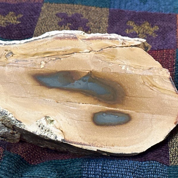 Golden Sard Agate Nodule, Fully Polished, Oregon - Etsy