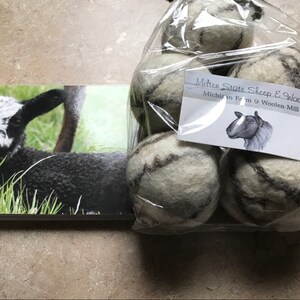 Wool Acorn Felt Kit - Etsy