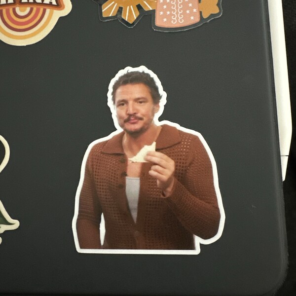 Pedro Pascal Sticker Bundle | Pedro Meme Sticker | Stickers for Water ...