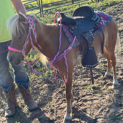 Pony Tack Set, Miniature Horse Tack, Pony, Pony Tack, Pony Hackamore ...