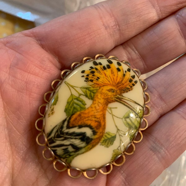 1979 Field Guide to the Trees of North America, Golden Vintage Field ...