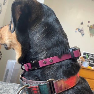 Biothane E-collar Strap - Etsy