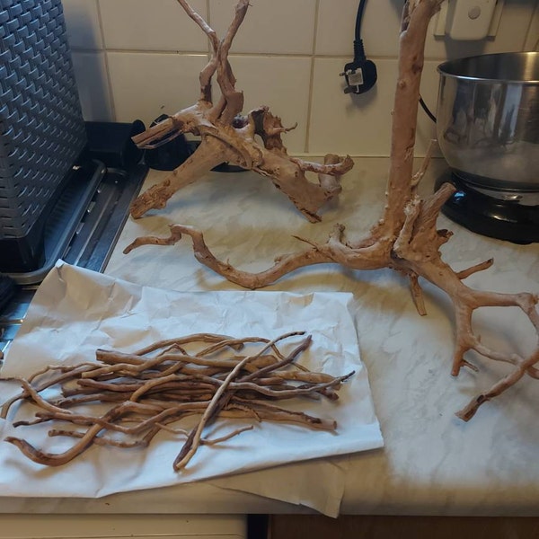 AZALEA REDMOOR ROOTS | Terrarium Supplies | Decorative Roots ...