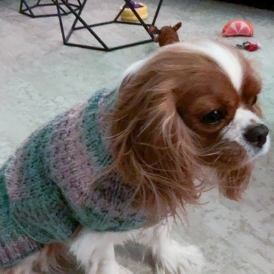 Baby Yoda Snood Cavalier Spaniel Snood Cocker English Toy Spaniel Snood ...