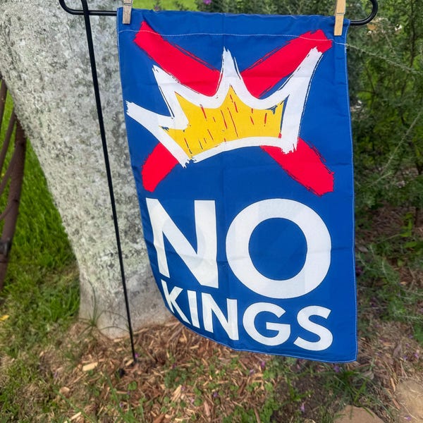 Know Your Parasites Yard Sign, Political Yard Signs, Deer Tick Dog Tick ...